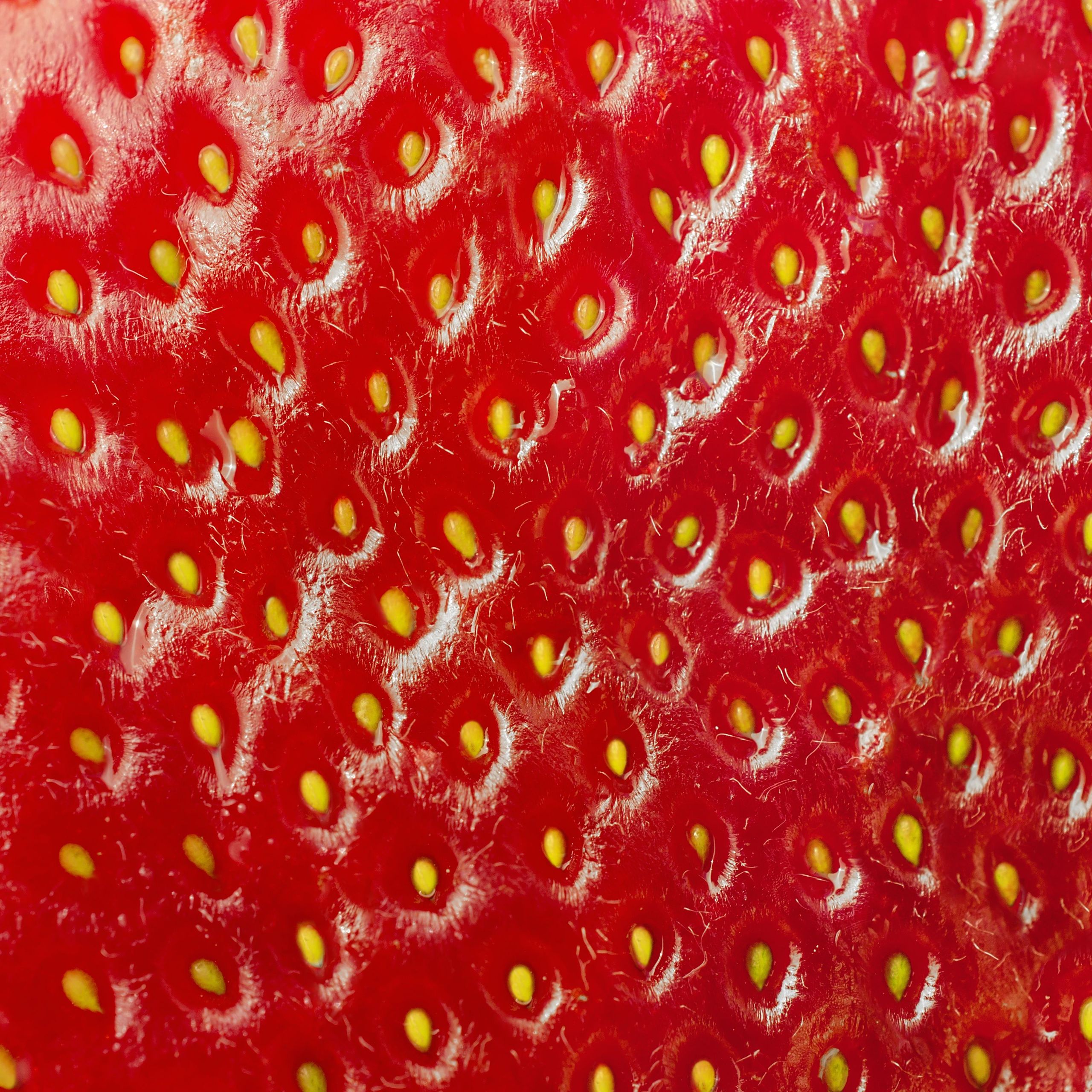 Fresh Jam Wash - Allkinds