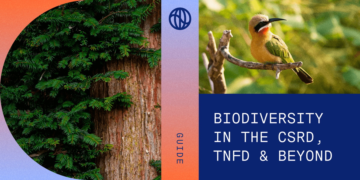What are the biodiversity standards in the CSRD and TNFD – Watershed