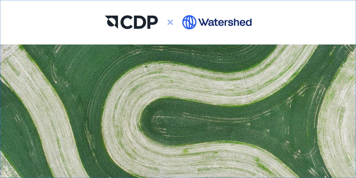 How CDP transformed its own sustainability reporting with Watershed ...