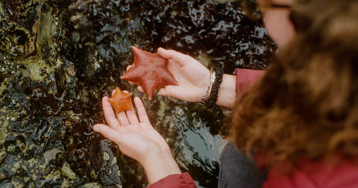 Usal Project | Ocean Research Camp