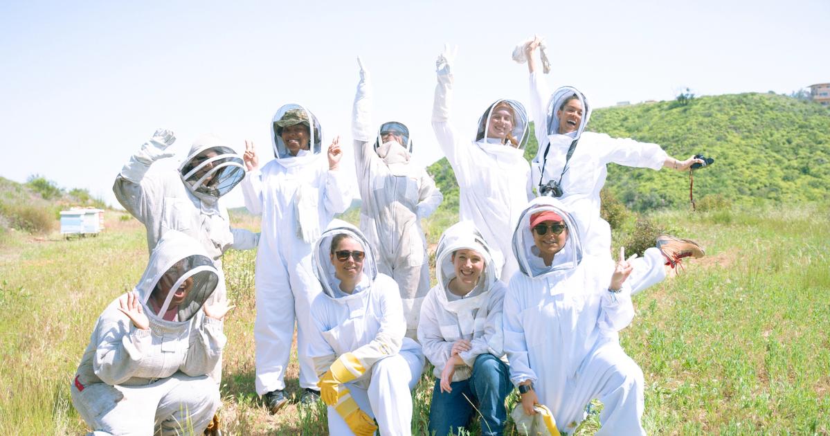 Usal Project | Intro to Beekeeping