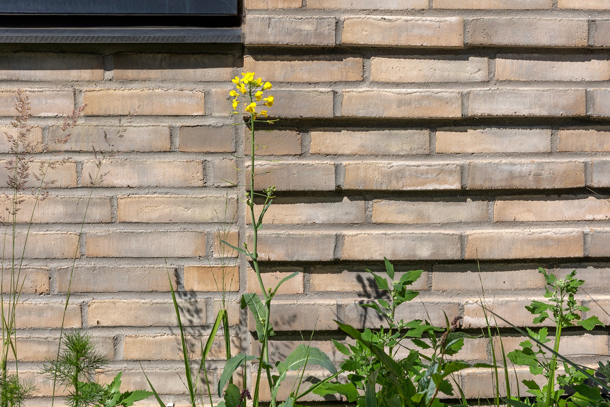 PLH Architecture & Design