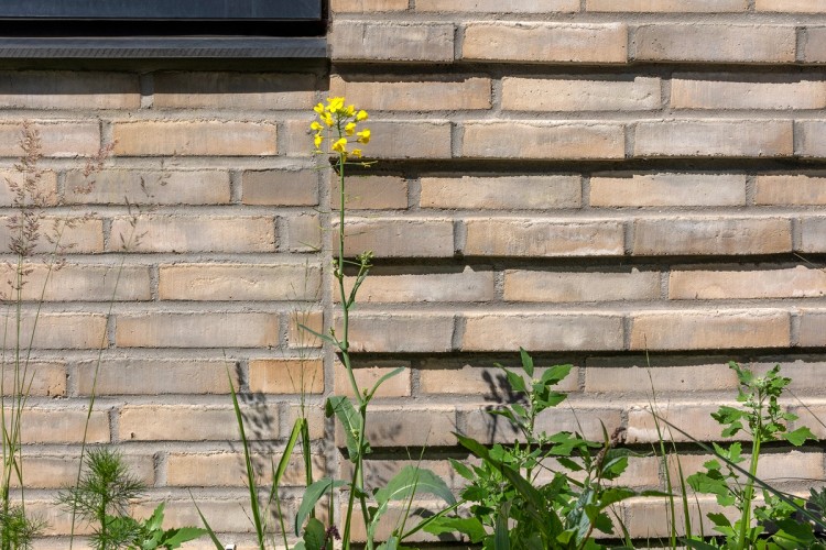 PLH Architecture & Design