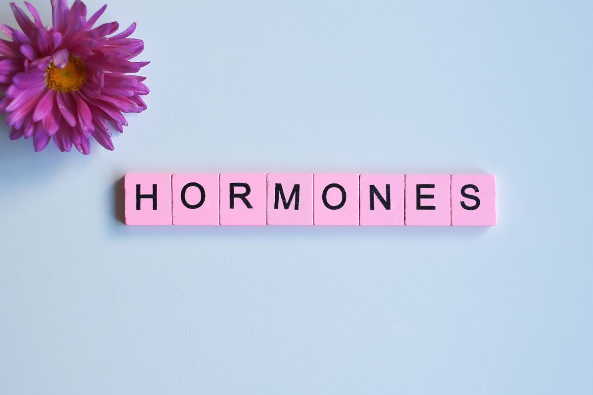 What Are Hormones? Types, Functions & Women's Health | Samphire ...