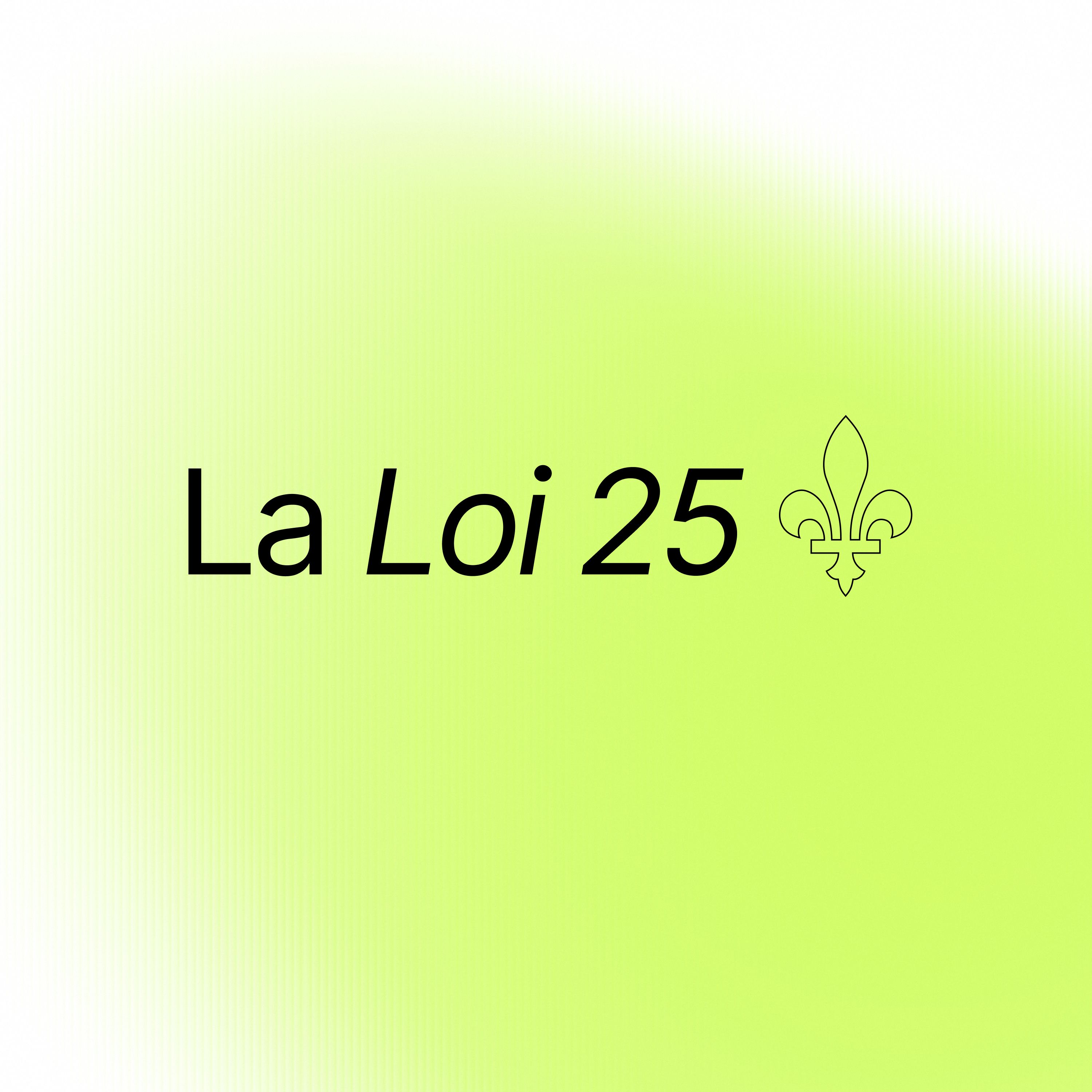 Blog | Law 25 Quebec: Changes that Could Affect your eCommerce