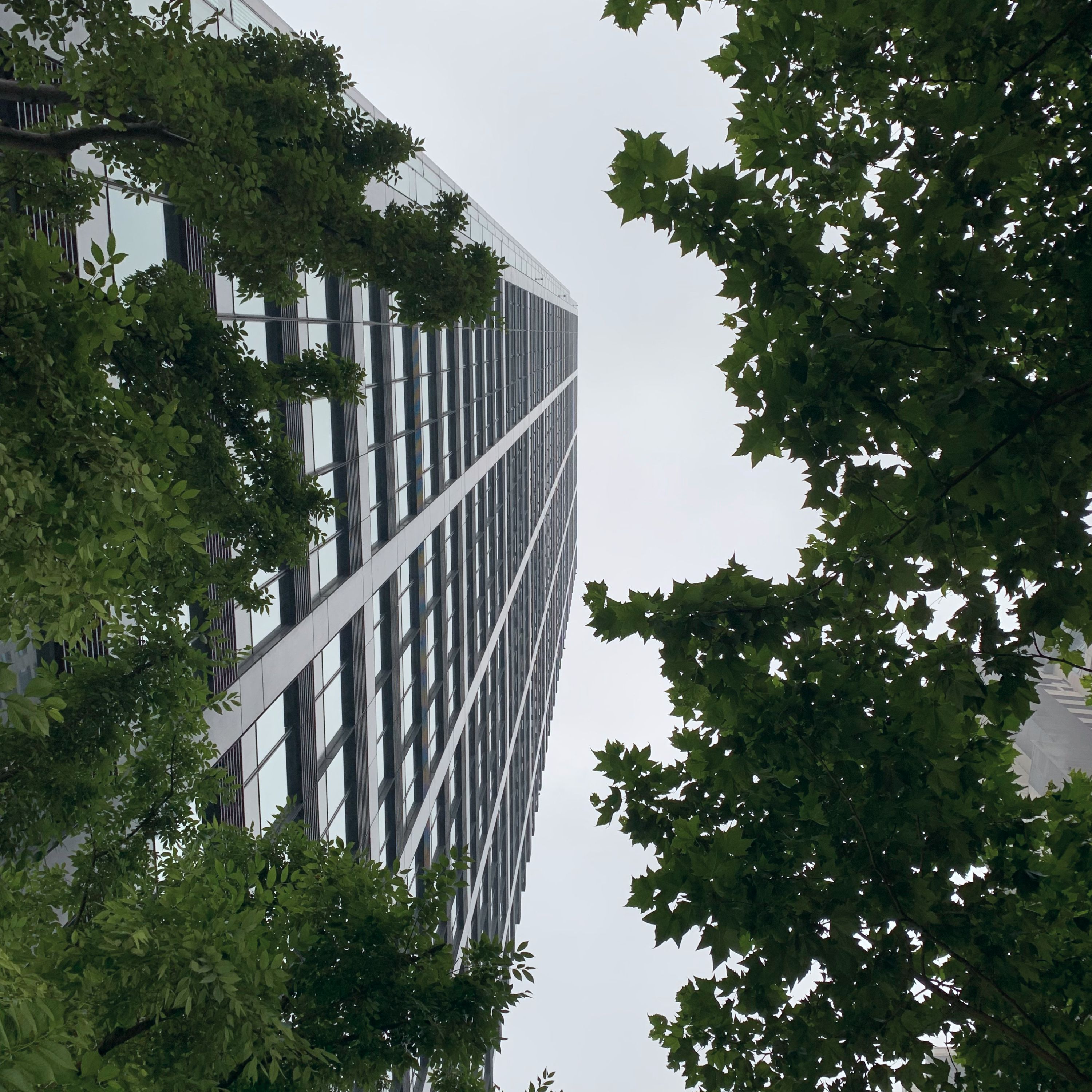 Sustainable Development Guide: How to Make Your eCommerce Site Greener