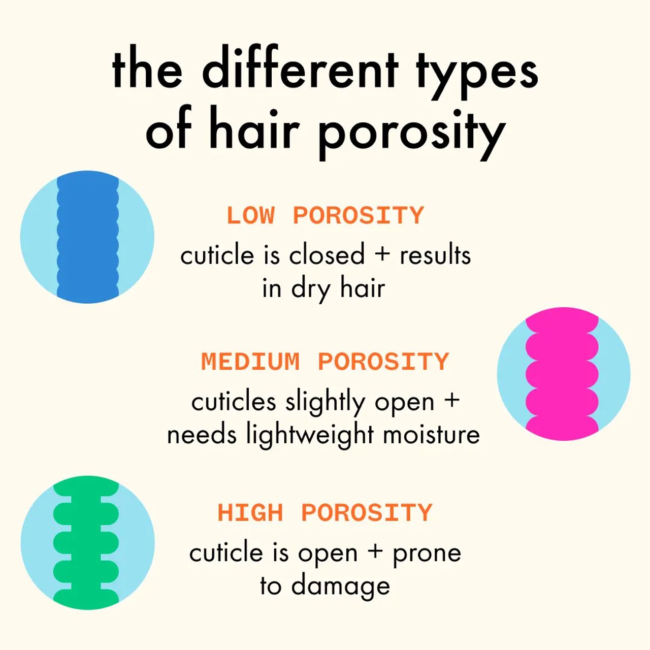 hair porosity 101 | amika