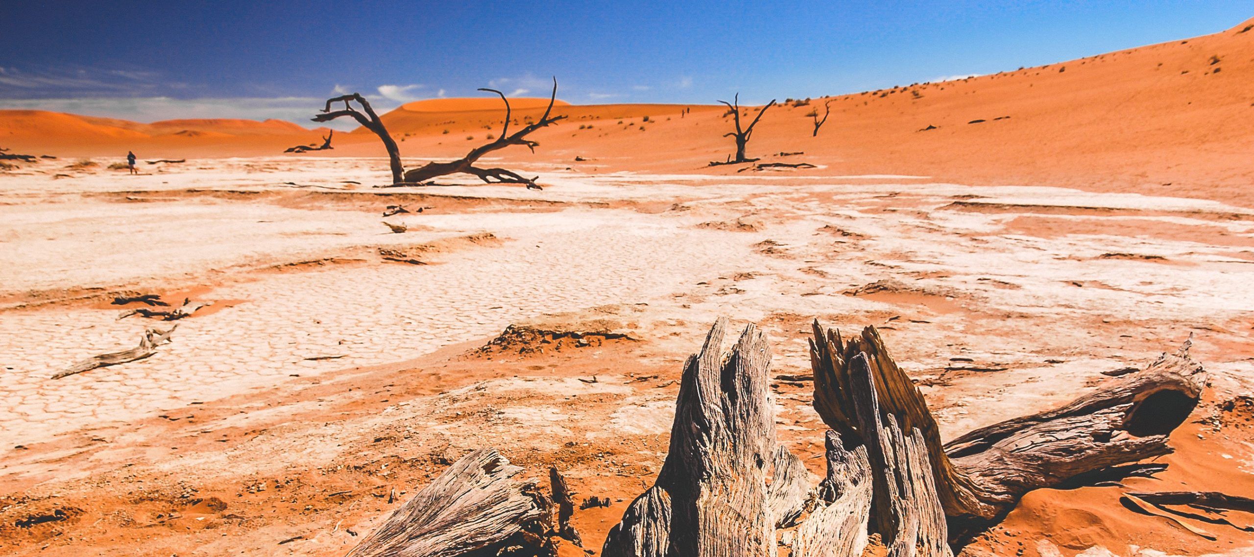 Was Jesus Tempted to Sin? | Core Christianity