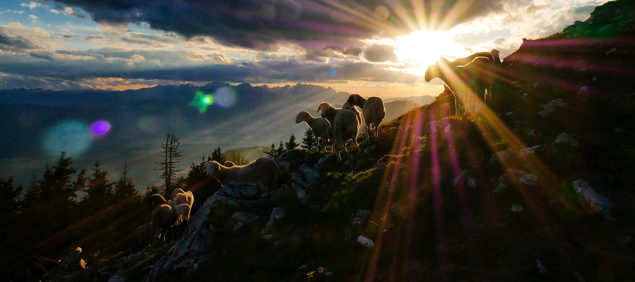 How Great (and Gentle) is our God! | Core Christianity