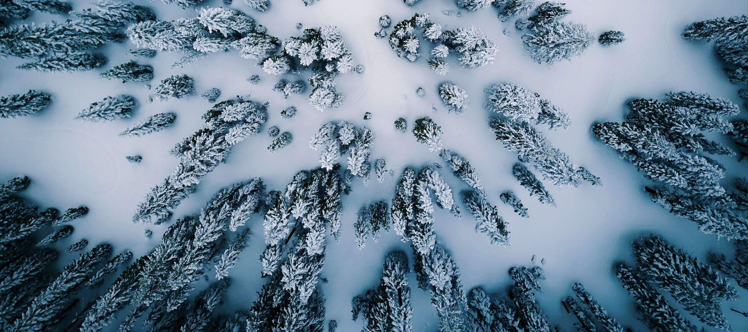 Angels Watch in Wonder | Core Christianity