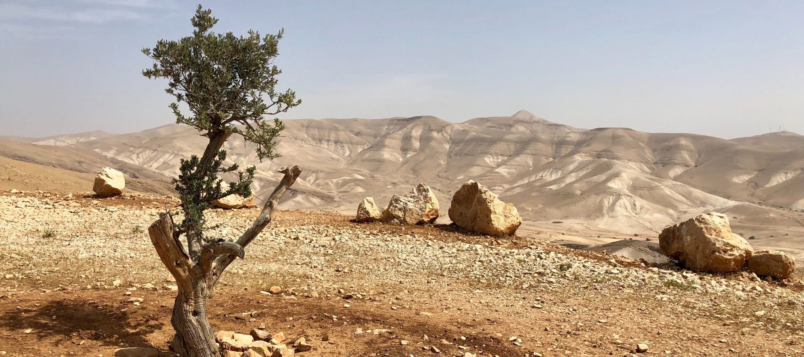 10 Old Testament Prophecies about Jesus (& Their Fulfillment) | Core ...