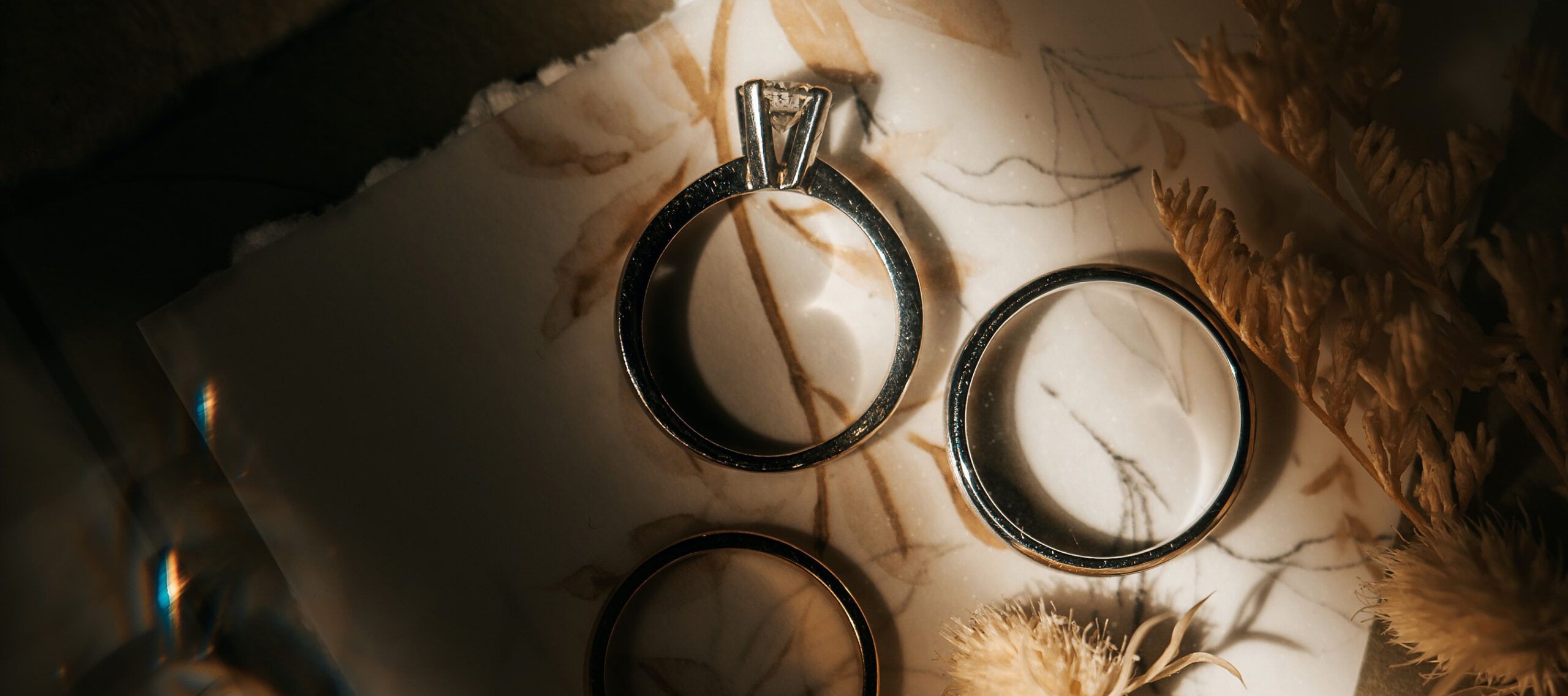 FAQ: Abraham and David Had Several Wives, So Is Polygamy Okay? | Core ... FAQ: Abraham and David Had Several Wives, So Is Polygamy Okay? | Core ...