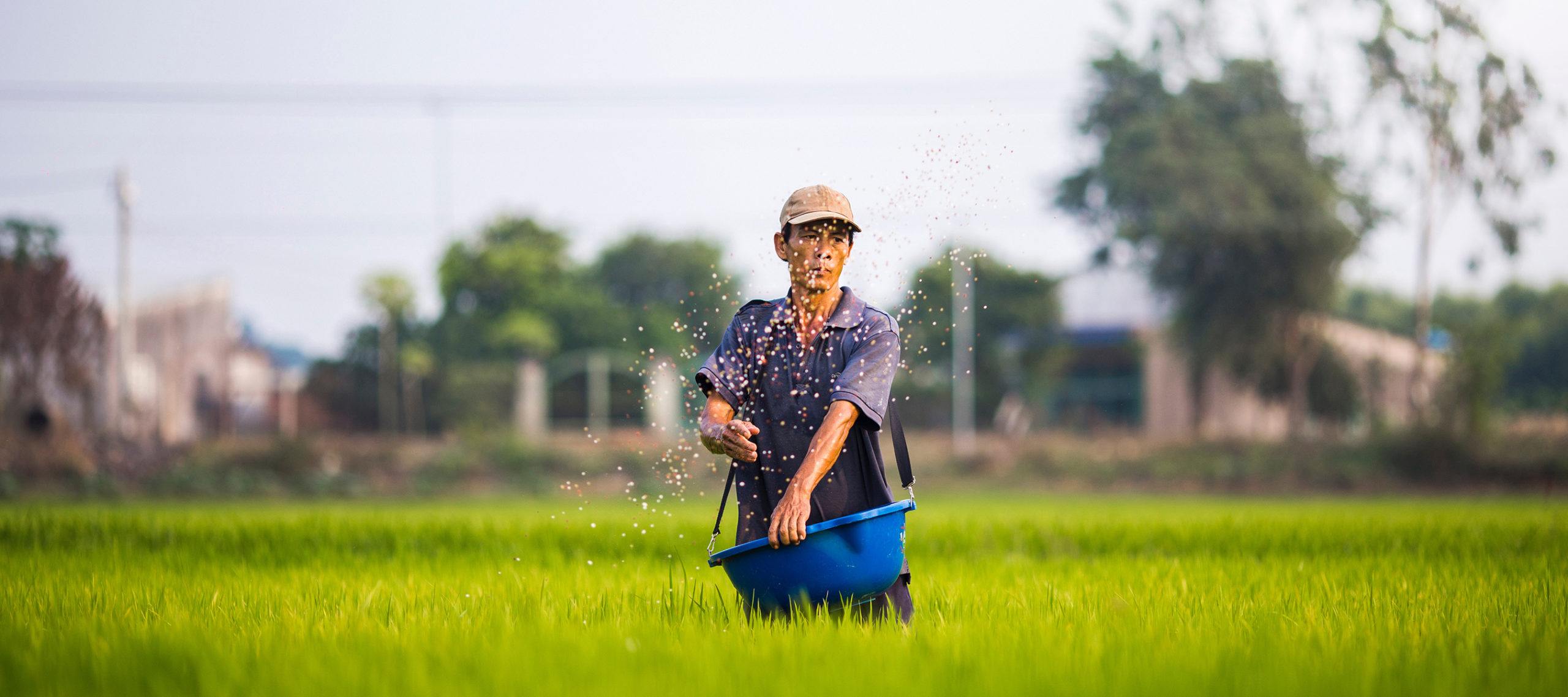 Does the ‘Parable of the Sower’ Teach That God Prevents Some From ...