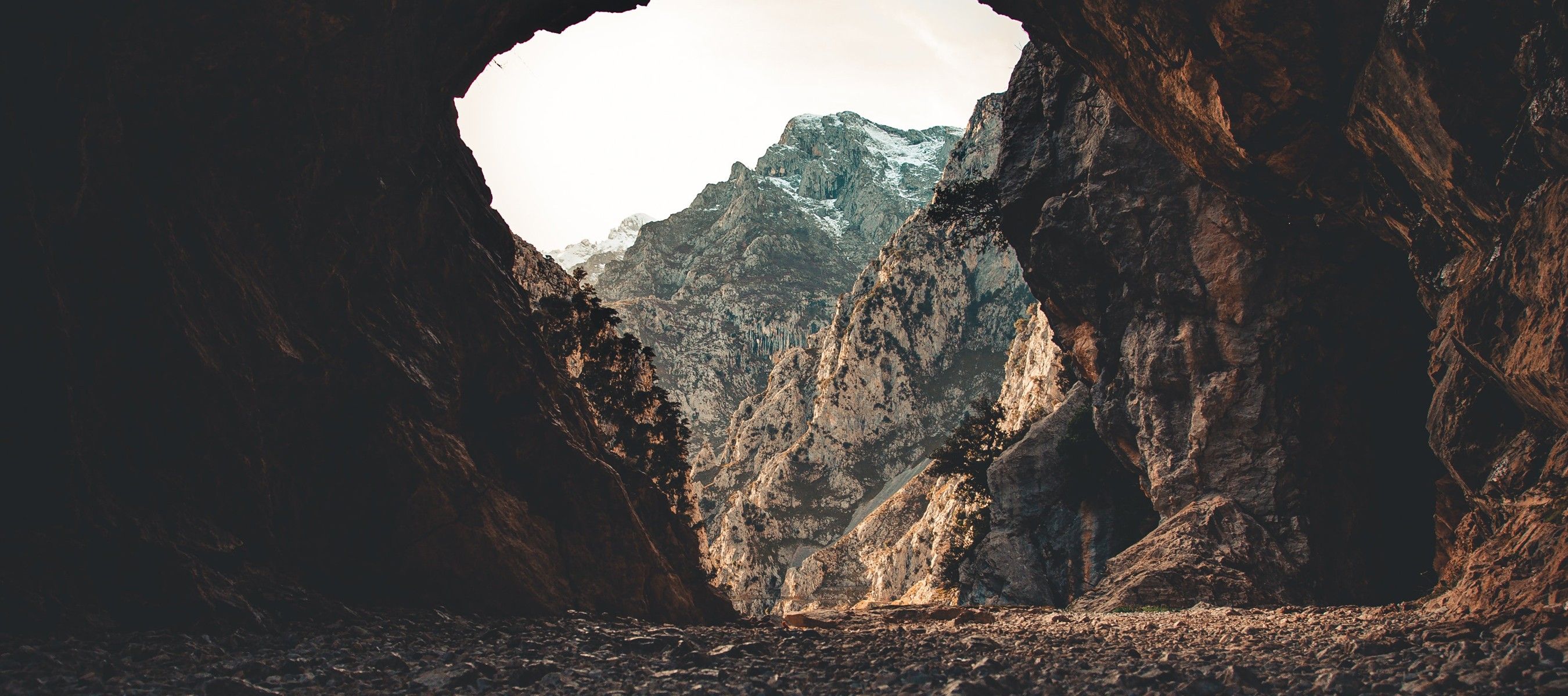 Were Adam and Eve Neanderthals? | Core Christianity