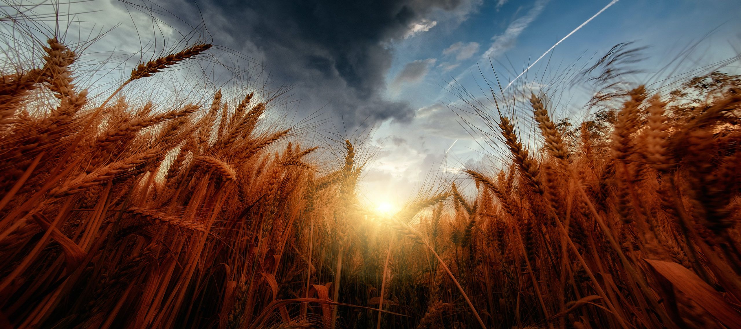 What Does the Bible Say Heaven Will Actually Be Like? | Core Christianity