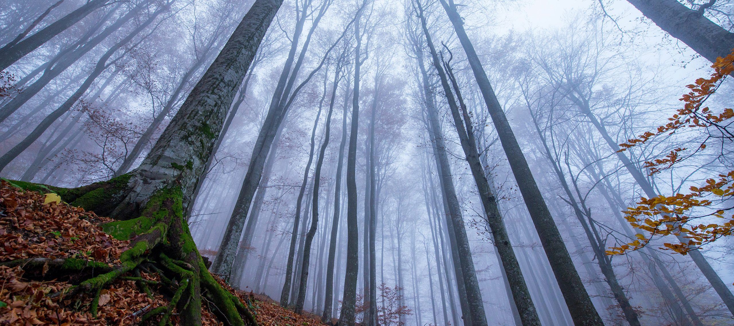 The Sound of God’s Silence | Core Christianity