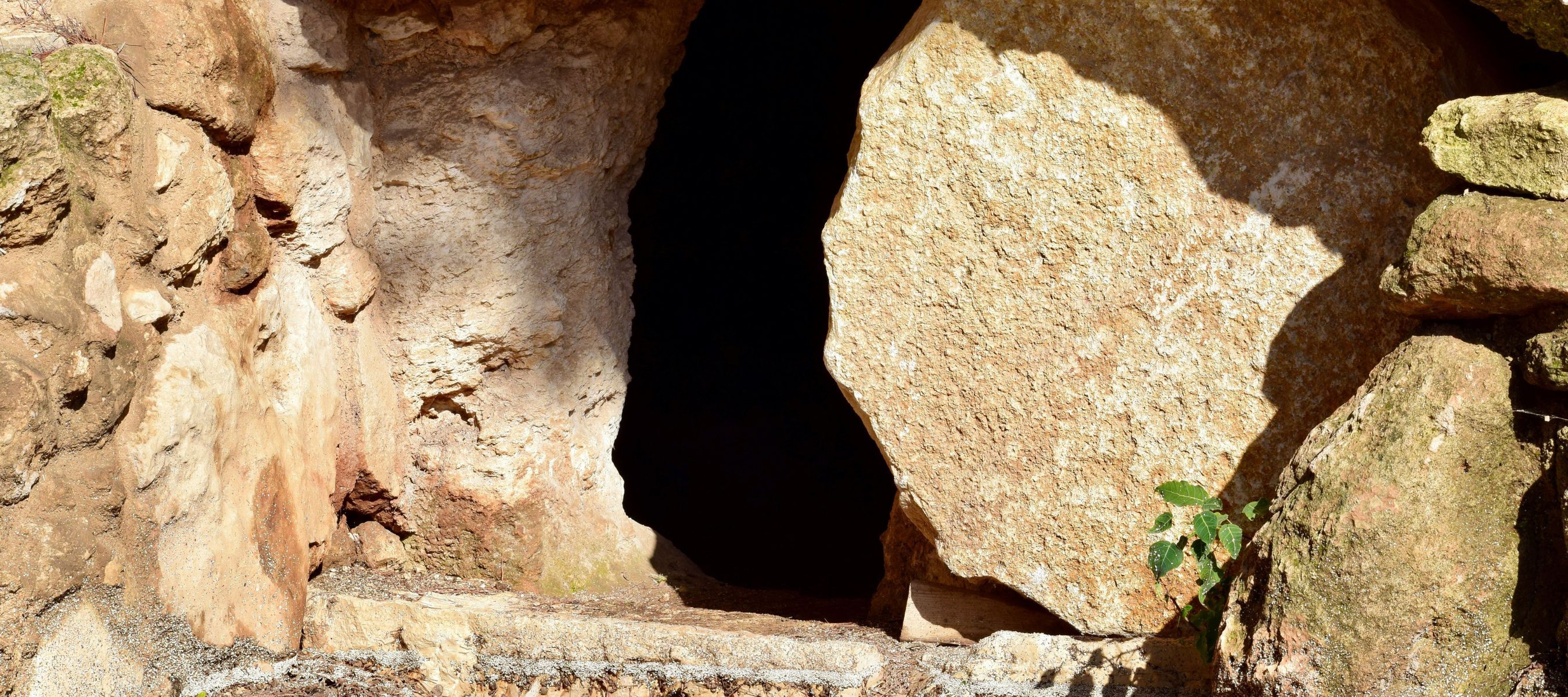 Four Resources to Prepare You for Easter | Core Christianity