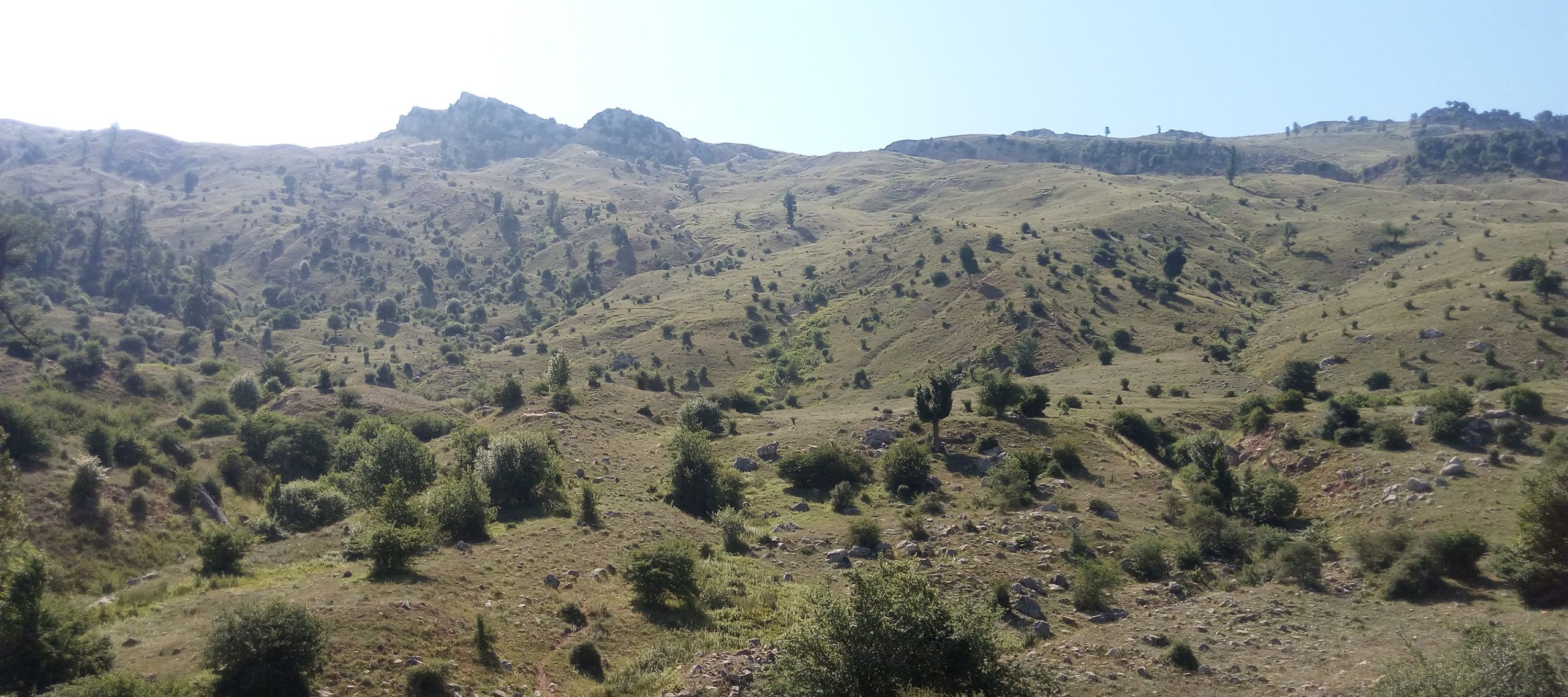 Why Did Jesus Say John the Baptist Was Elijah the Prophet? | Core ...