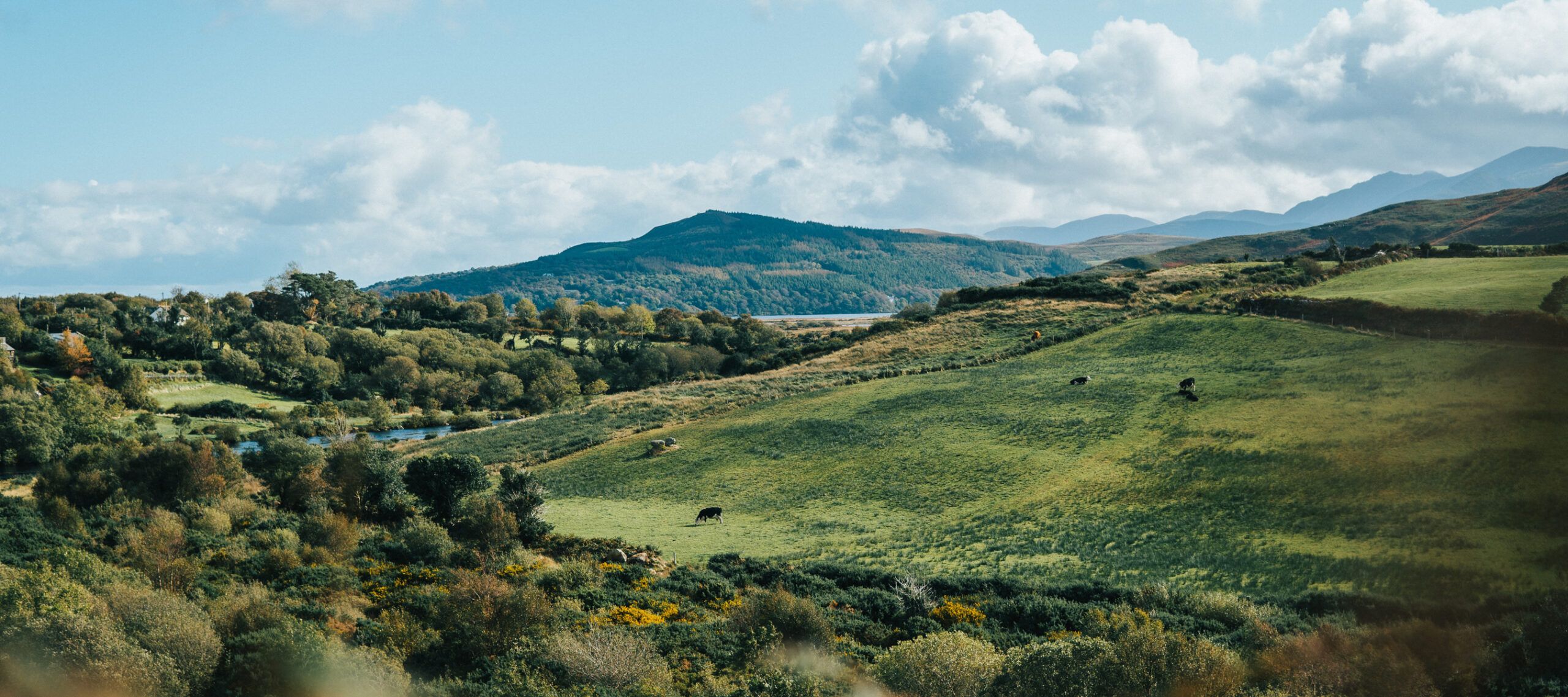 From Slave to Missionary: Meet St. Patrick | Core Christianity