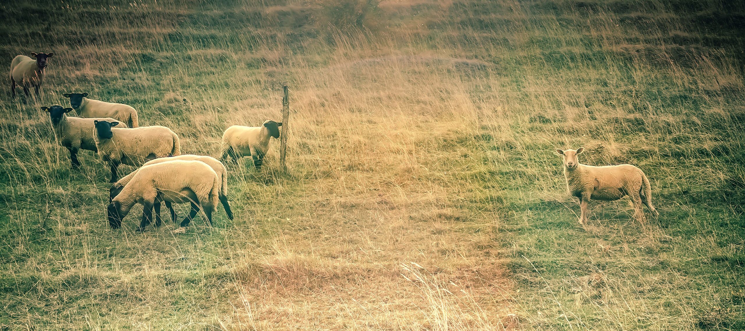 What Is the Unforgivable Sin? | Core Christianity