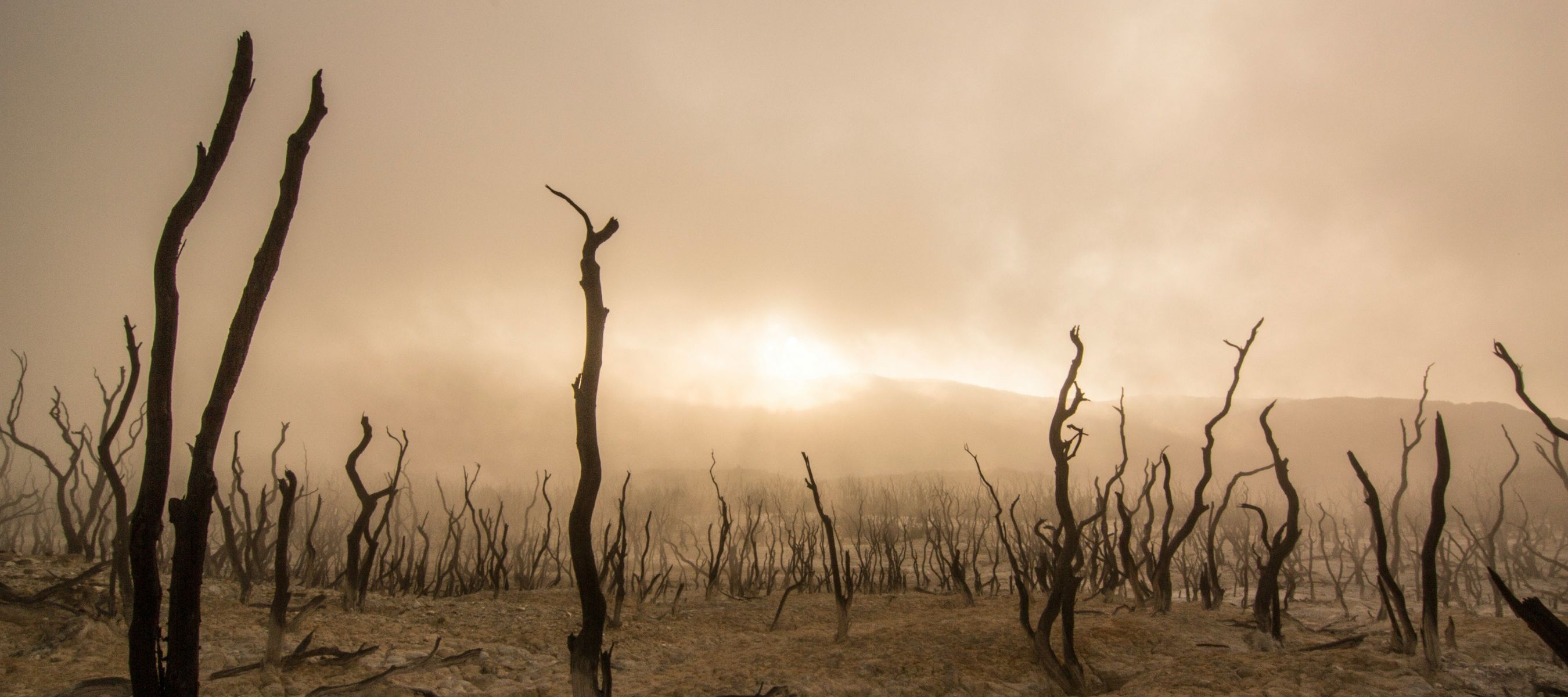 Revelation is not about the Rapture | Core Christianity