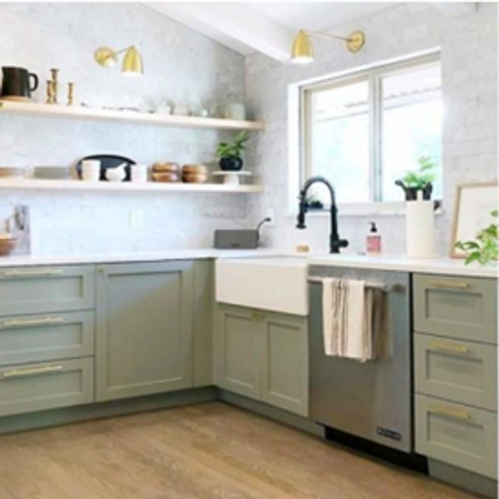 SHERWIN WILLIAMS COLOR OF THE YEAR - Rochester Interior Design Studio