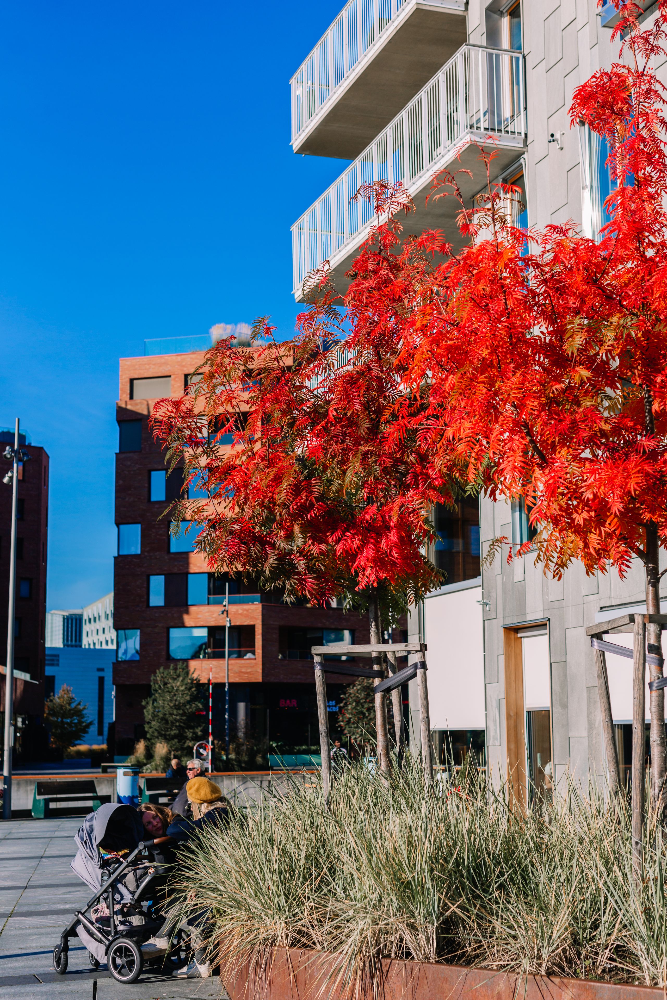 Velkommen til Lanullva! – Oslobukta