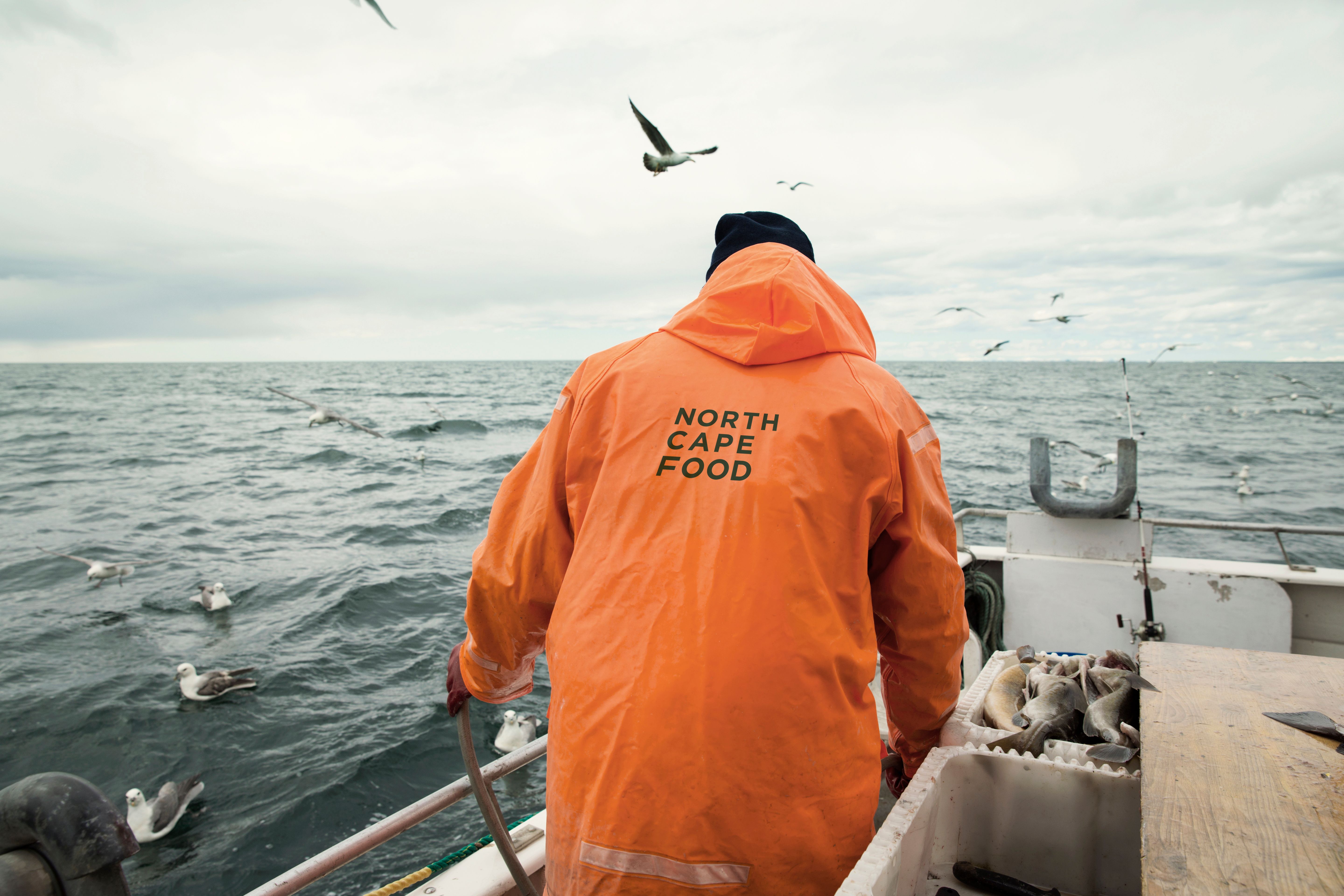 North Cape Food | NCF