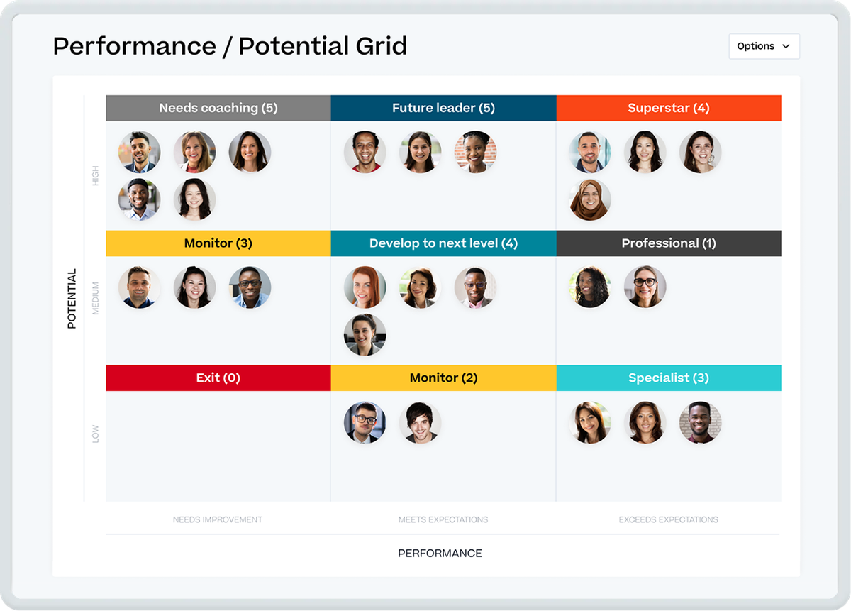 Cornerstone Talent Experience: One platform. Limitless potential.