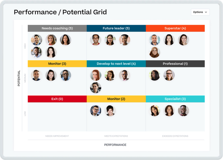 Cornerstone Talent Experience: One platform. Limitless potential.