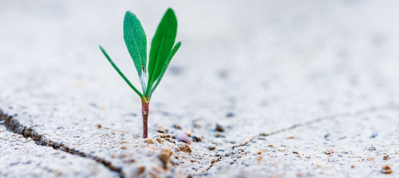 Nurturing Workers’ Adaptability Quotient Will Differentiate Businesses ...