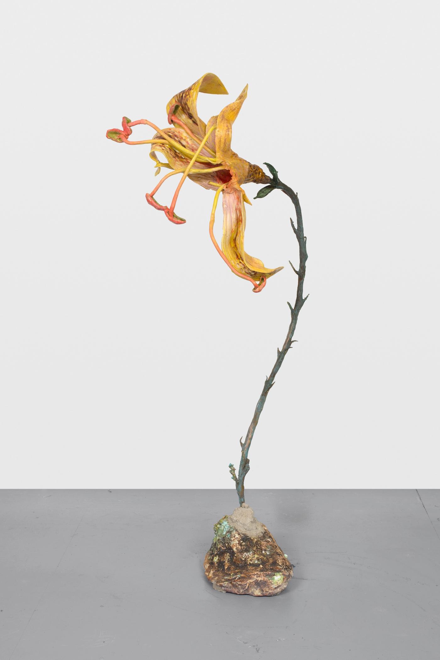 Josh Lilley – Rebecca Manson