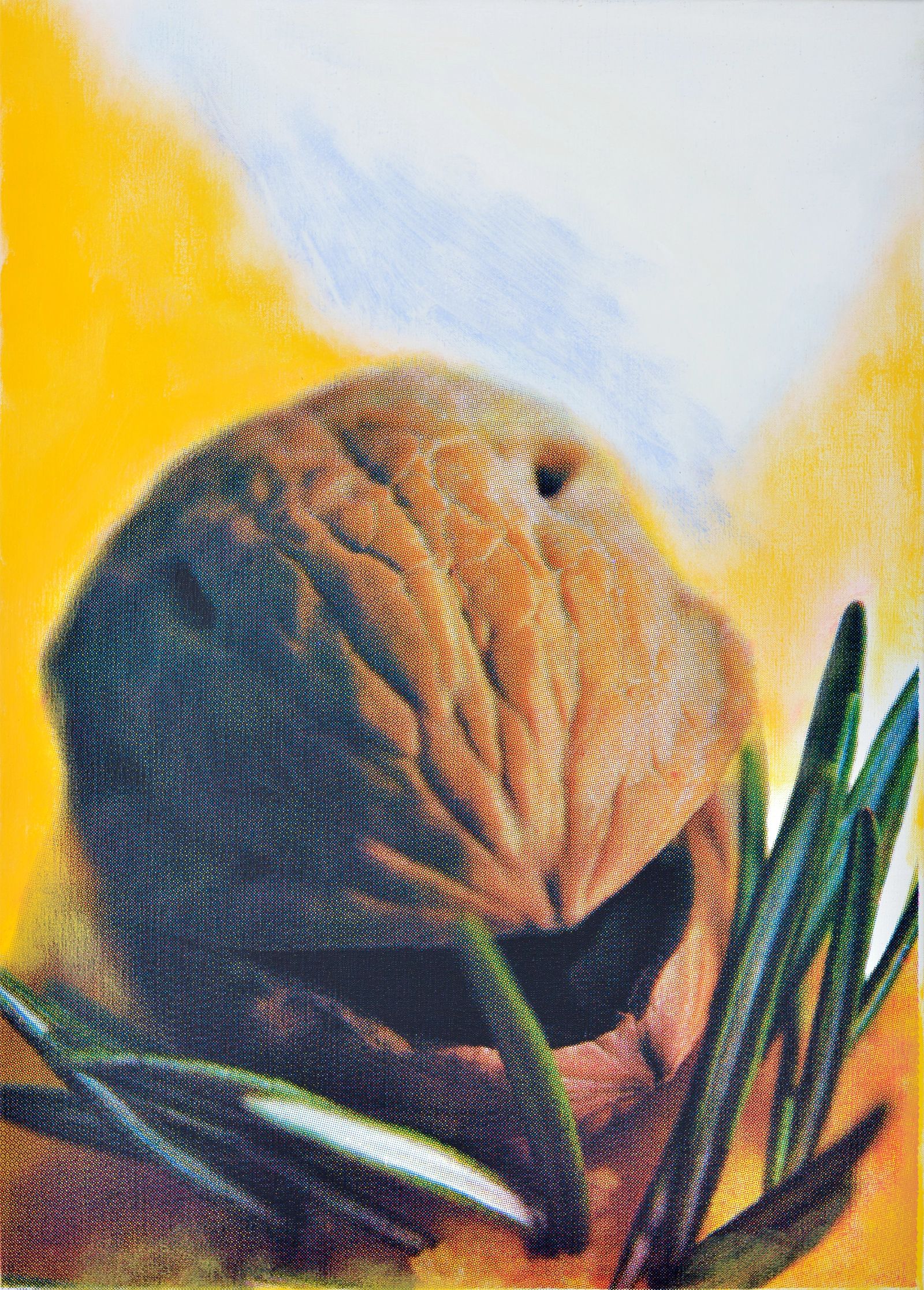 Josh Lilley – Nicholas Hatfull