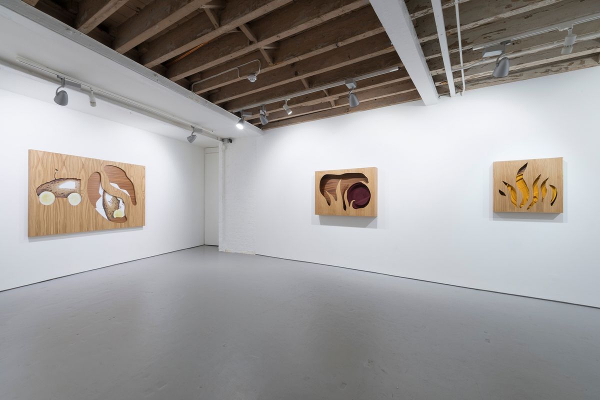 Josh Lilley – Nicholas Hatfull