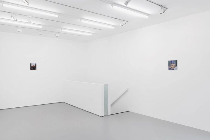 Josh Lilley – Gareth Cadwallader