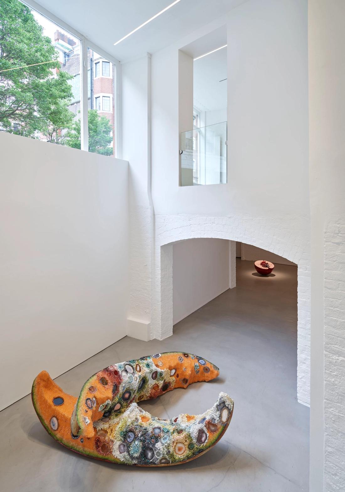 Josh Lilley – Red Rose