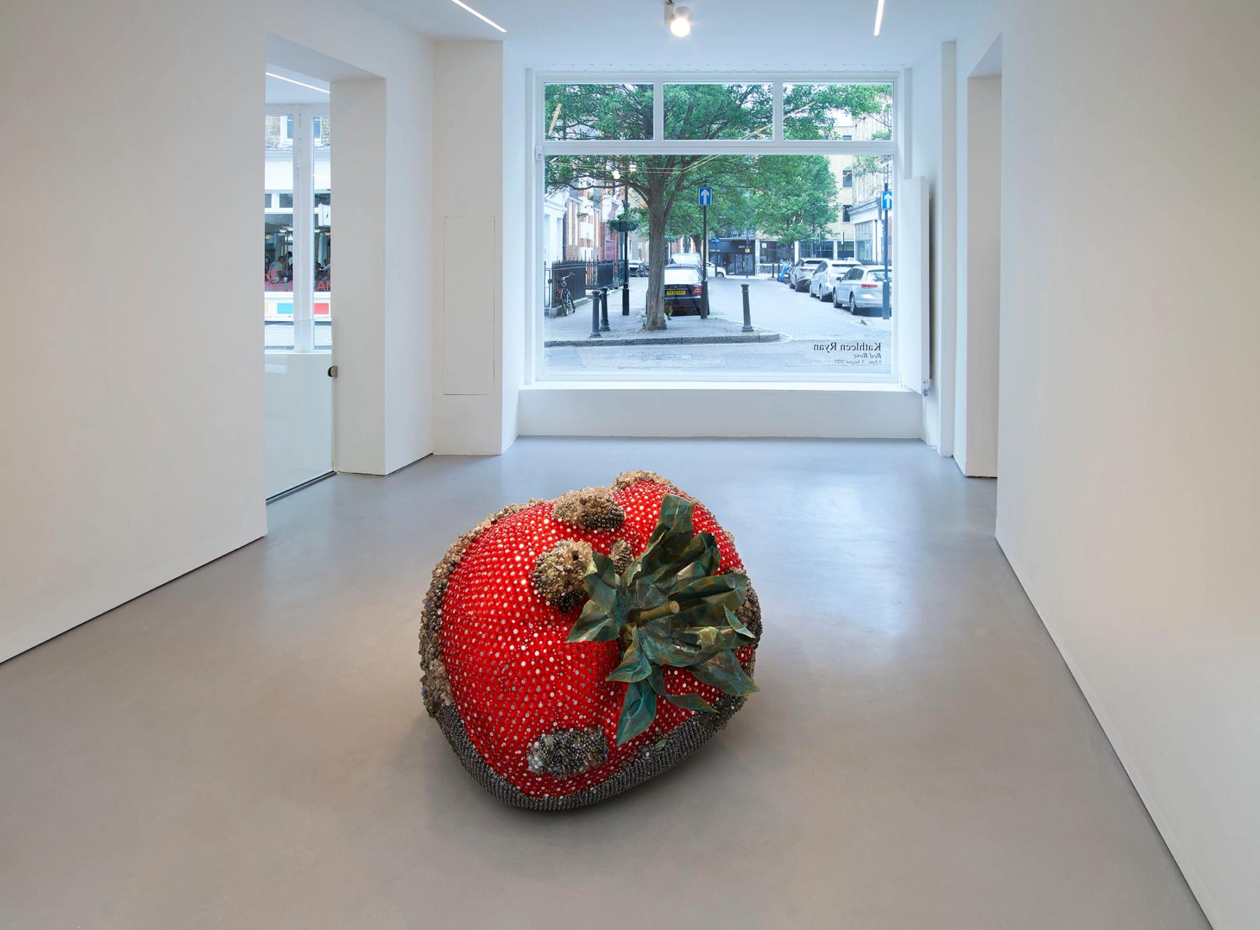 Josh Lilley – Red Rose