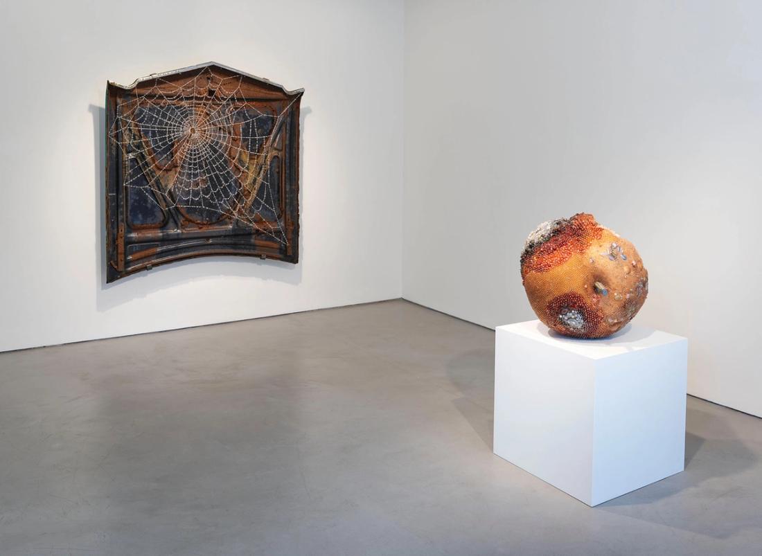 Josh Lilley – Red Rose