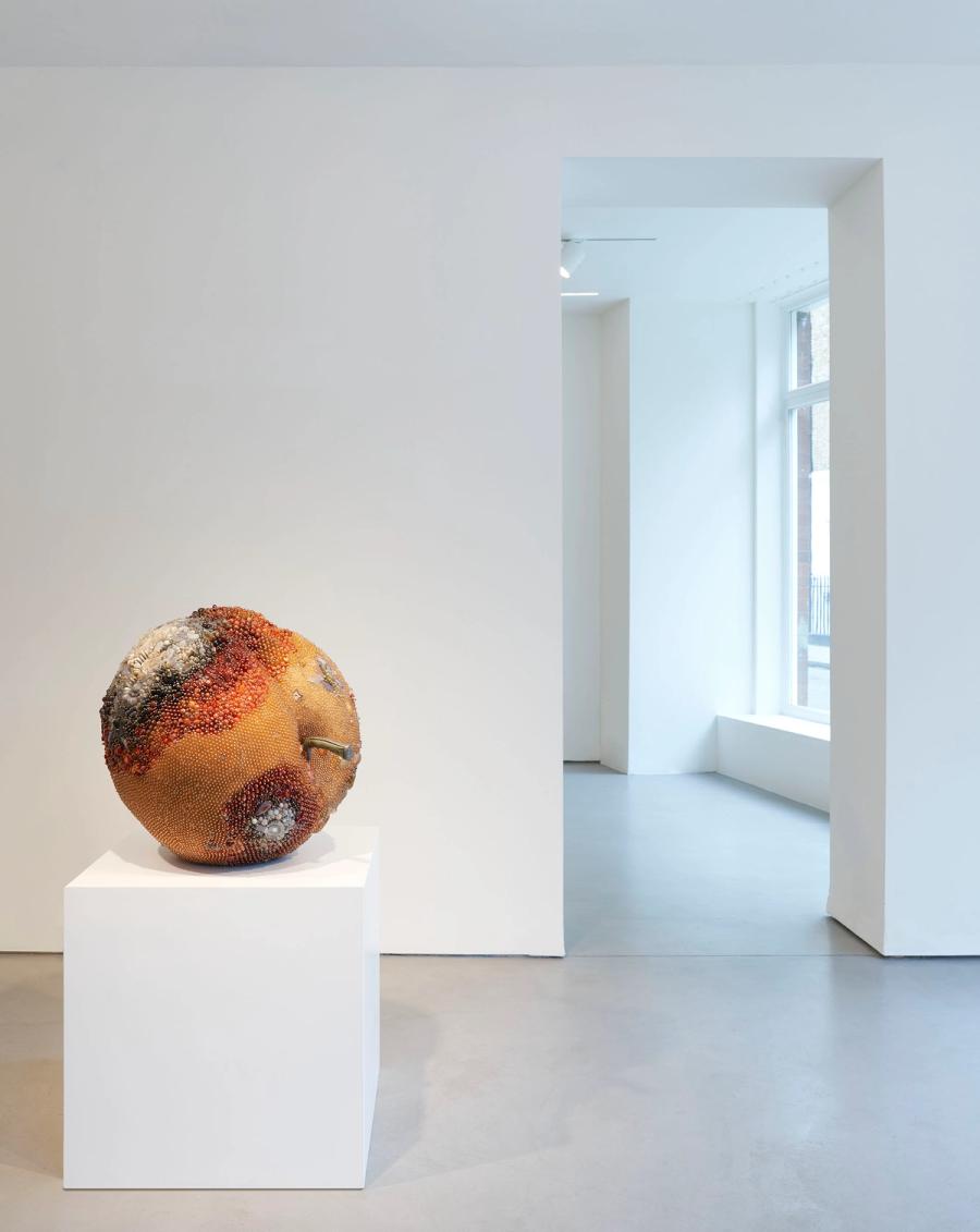 Josh Lilley – Red Rose