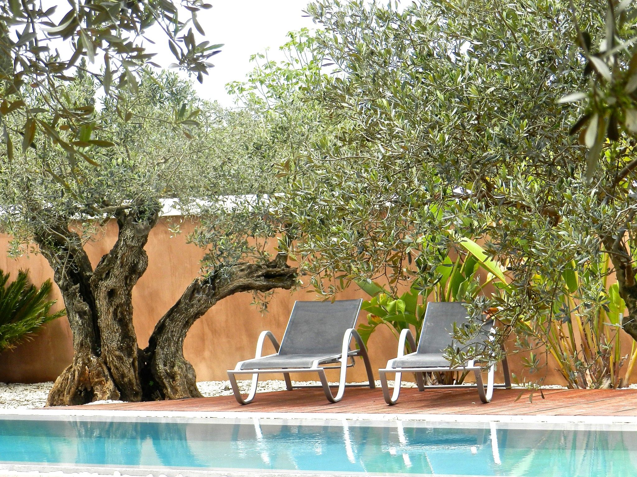 Salaparuta in Sicily, the city that was rebuilt