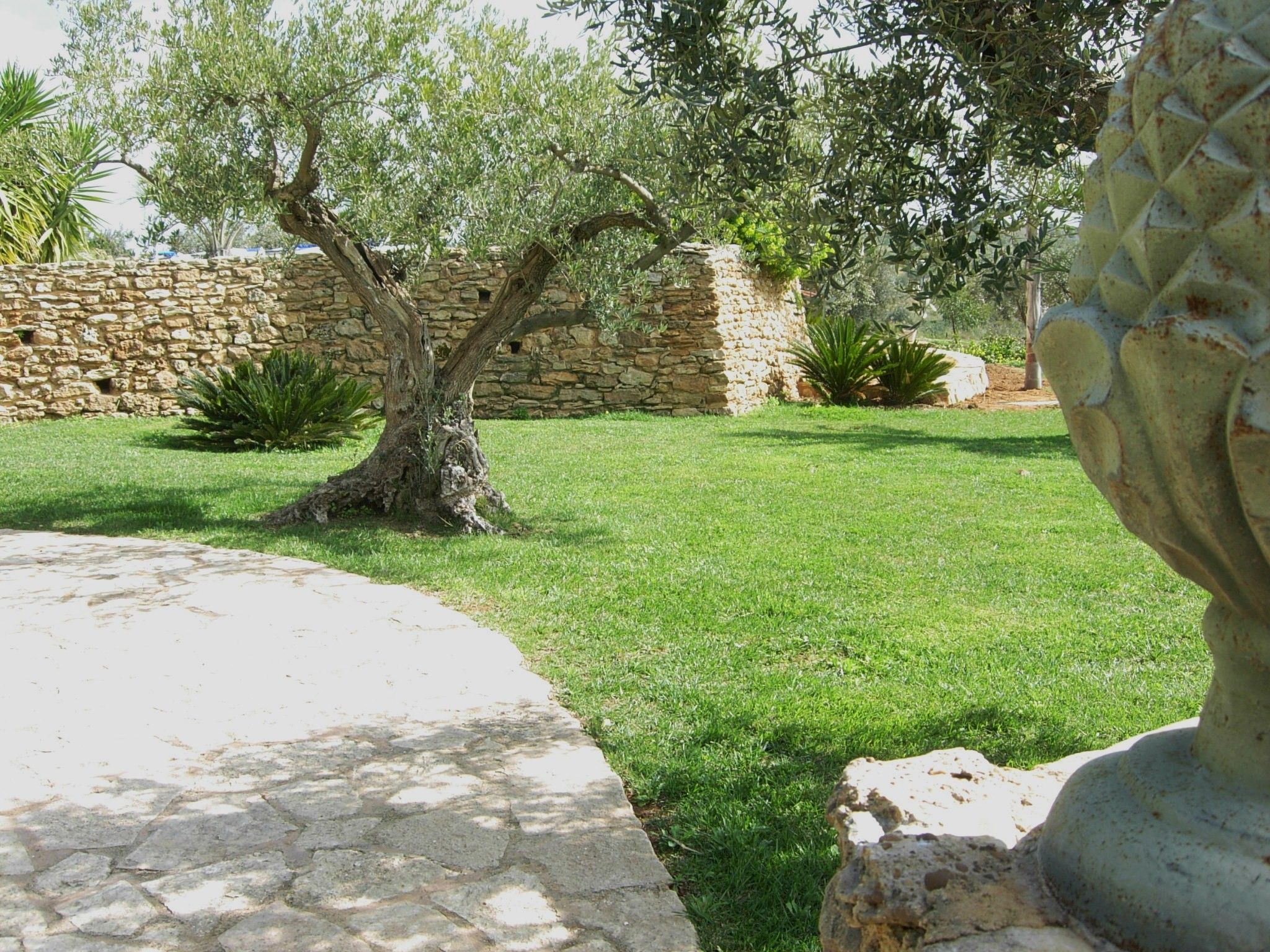 Salaparuta in Sicily, the city that was rebuilt