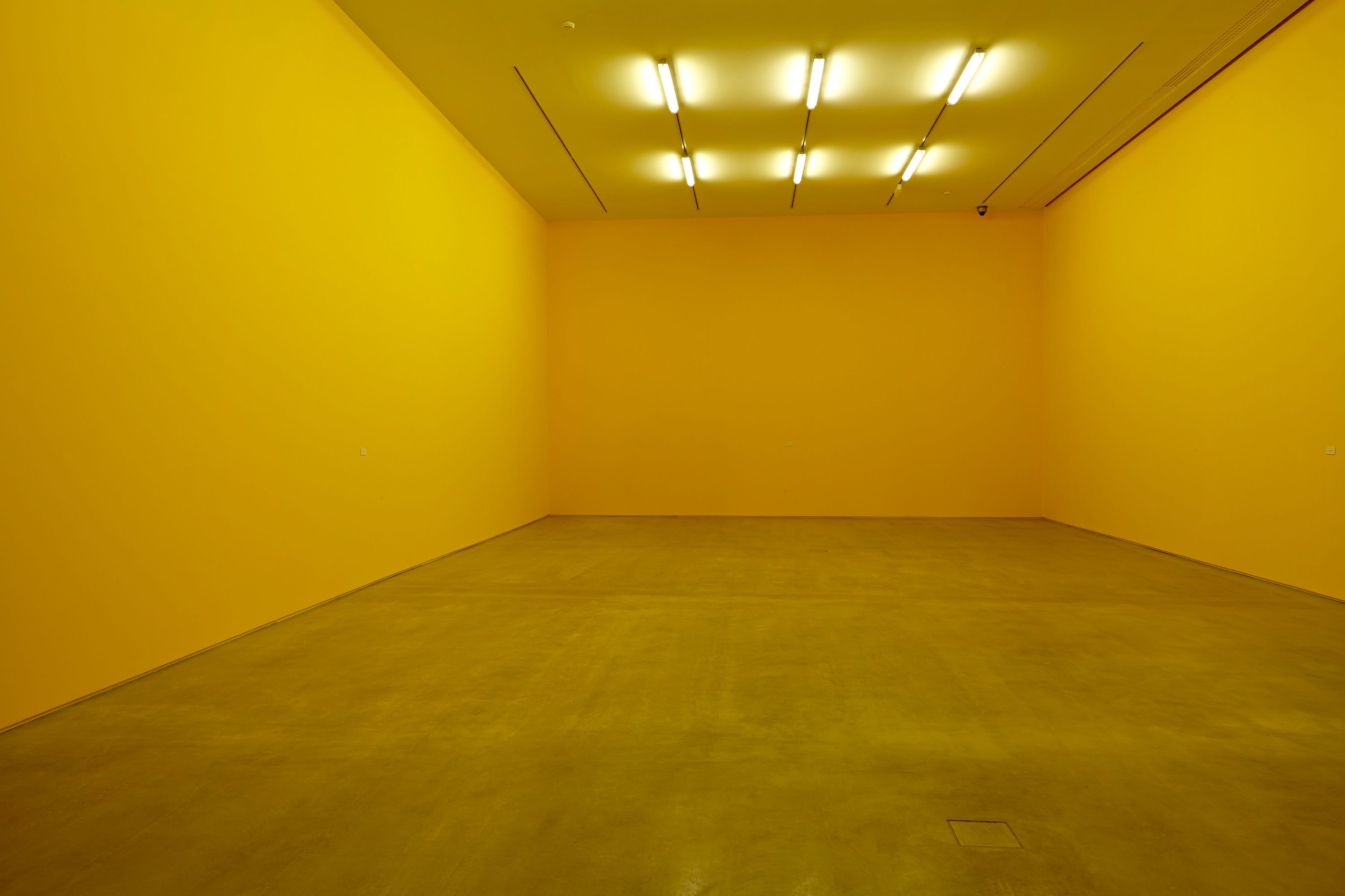 Héctor Fuenmayor | MoMA