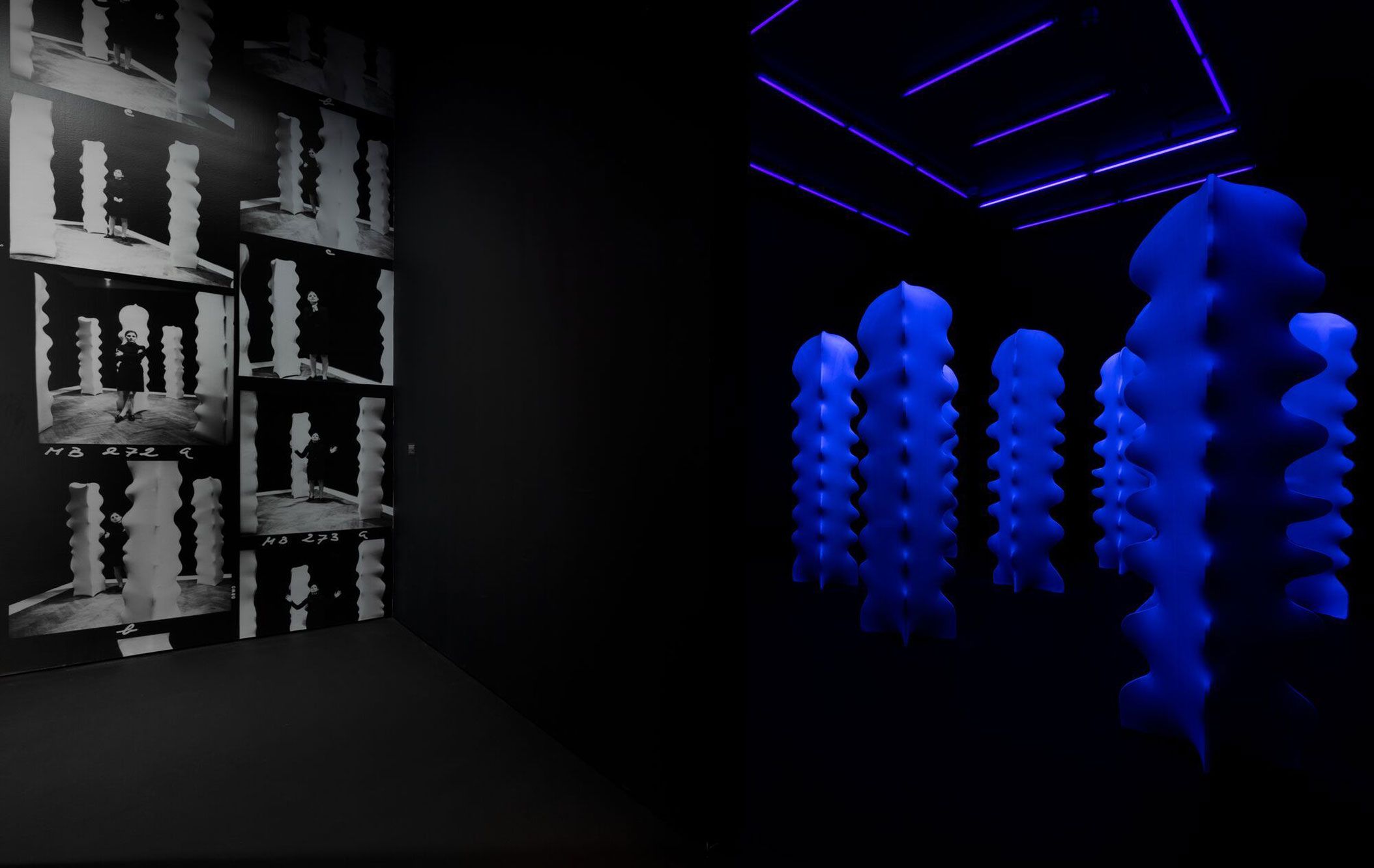 Radical Vision: Ljerka Šibenik’s Black Ambience 1 | Magazine | MoMA