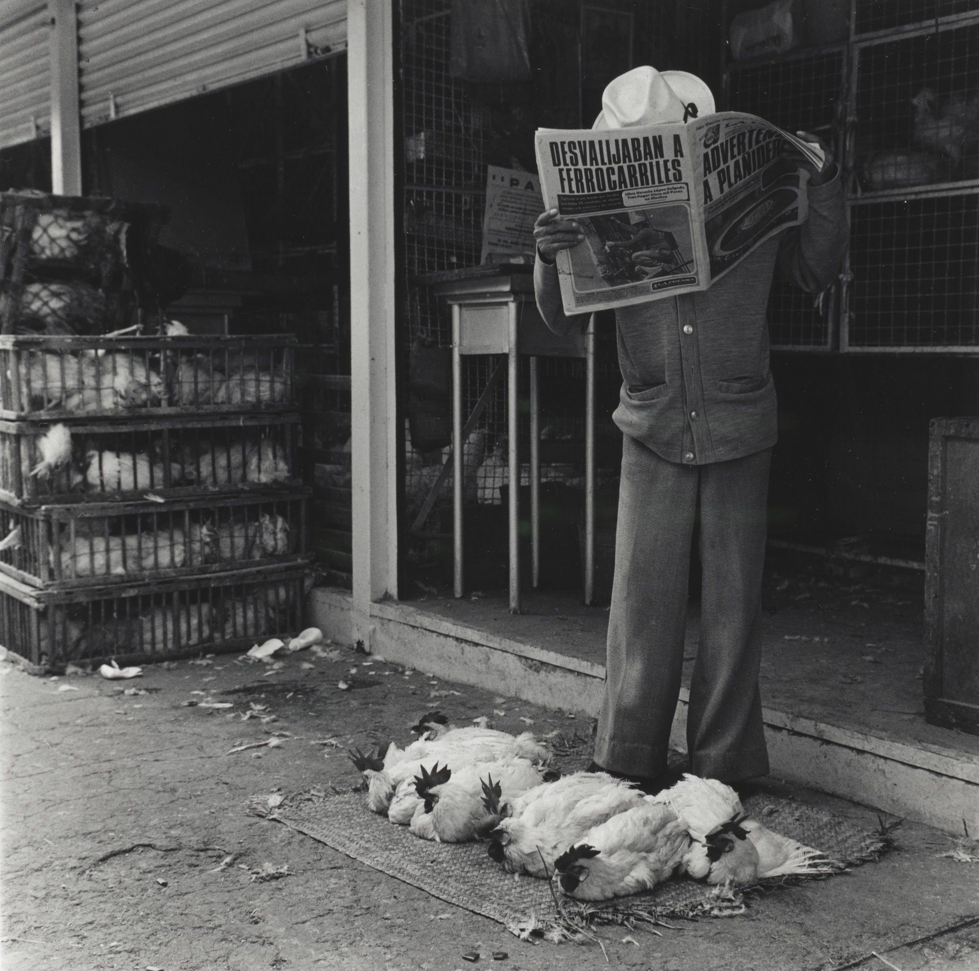 Where We Get Our Food | Magazine | MoMA