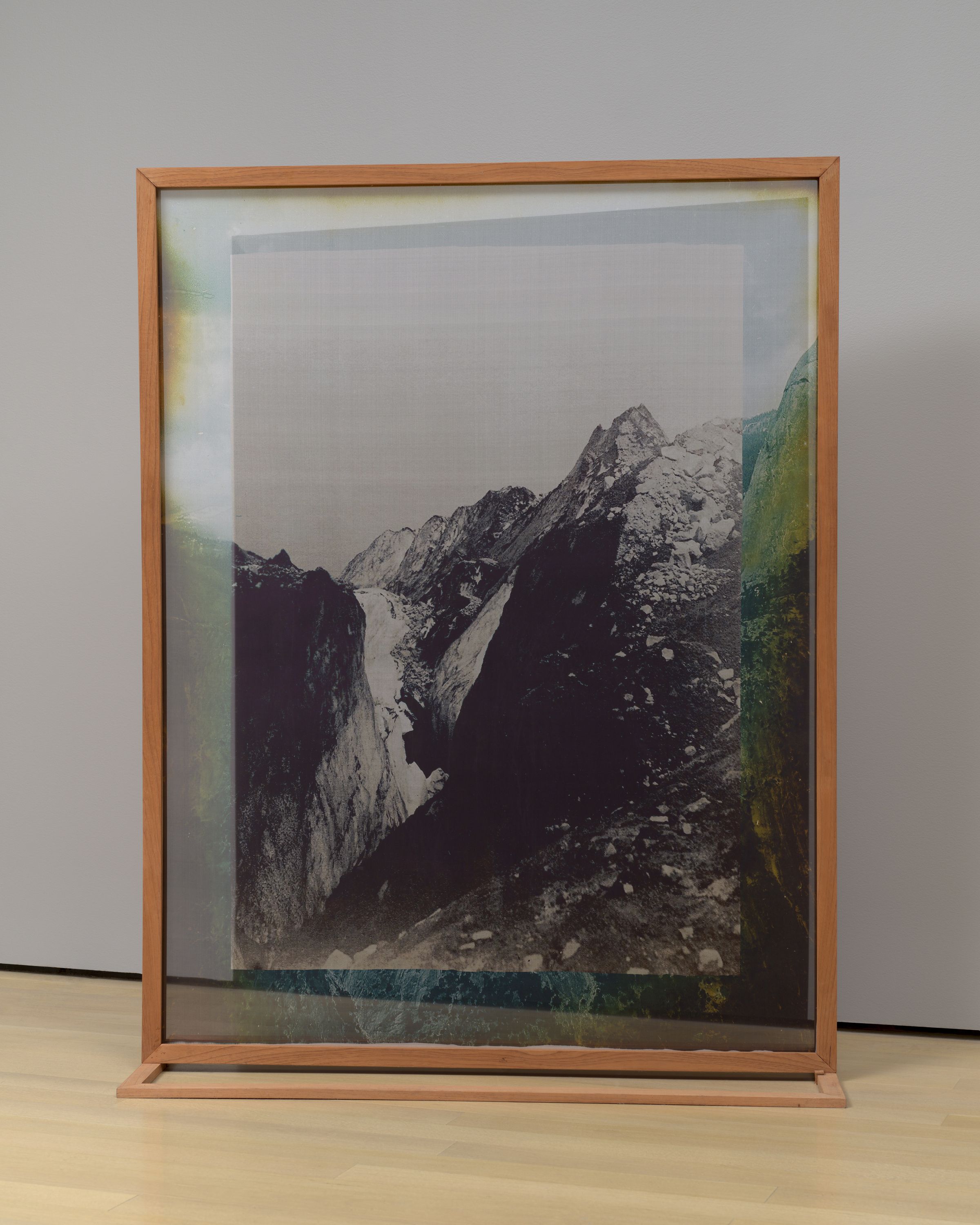 Elena Damiani | MoMA