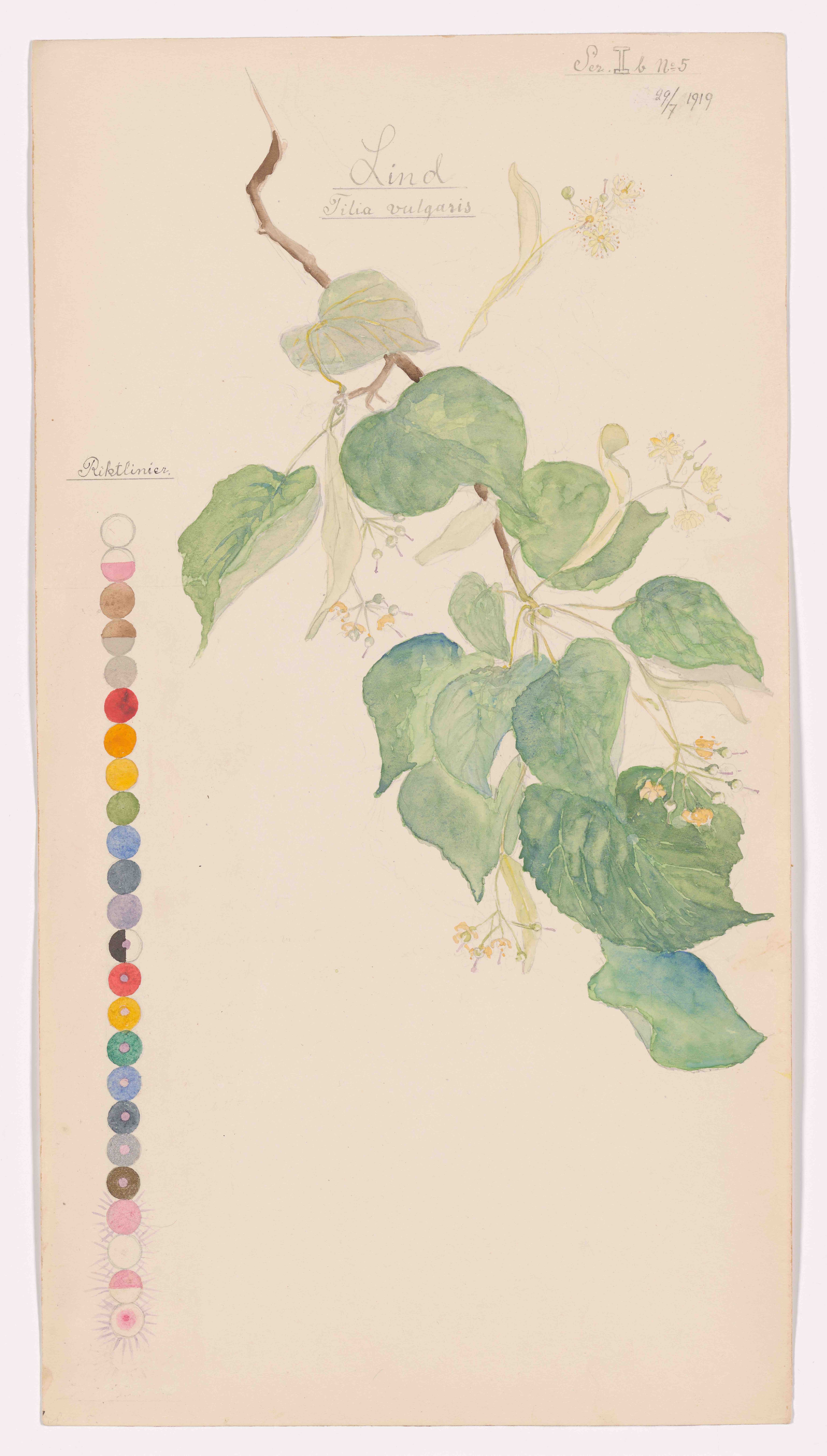 Look Closely at the Wonders of Nature | Magazine | MoMA