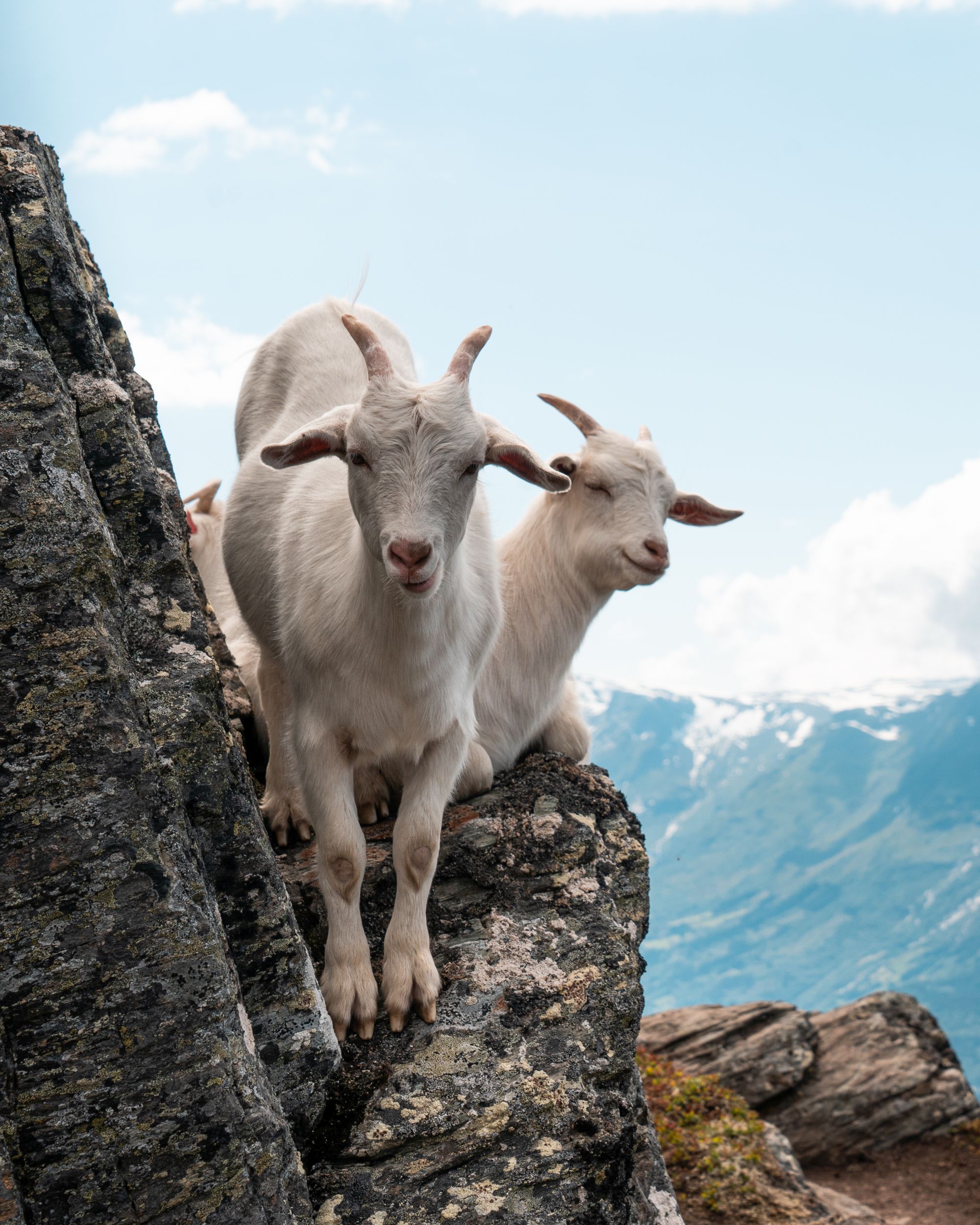 Dronningstien i Hardanger - Kinsarvik - Lofthus