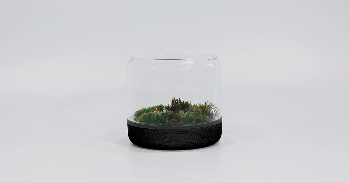 Temperate Terrarium Japan Black | JAU / JAPAN AUSTRALIA UNITED