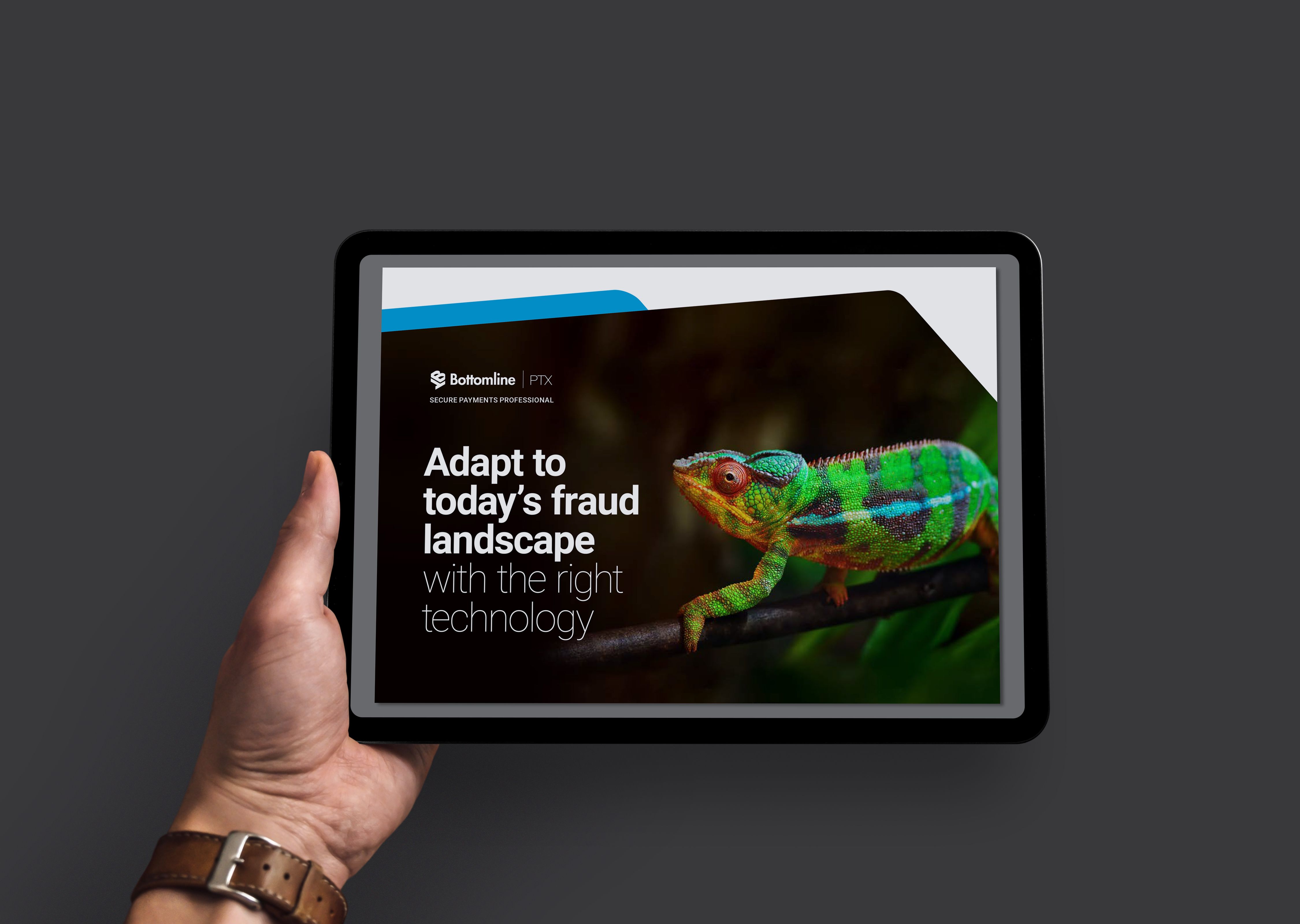 Bottomline Technologies | psLondon