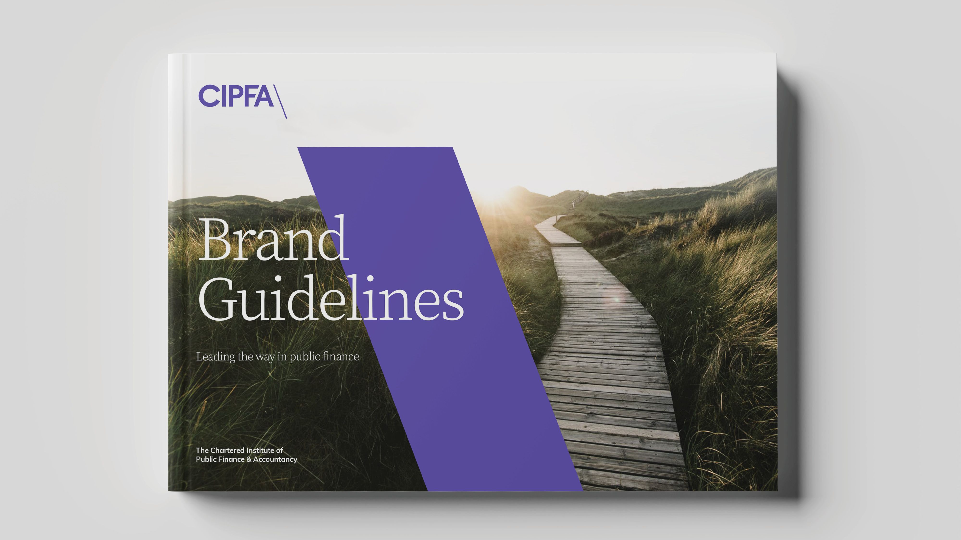 Chartered Institute of Public Finance and Accountancy (CIPFA) | psLondon